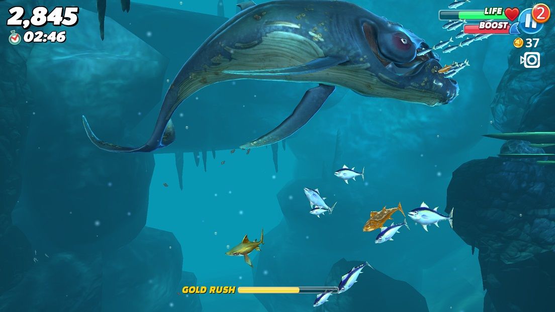 Hungry Shark Evolution Map