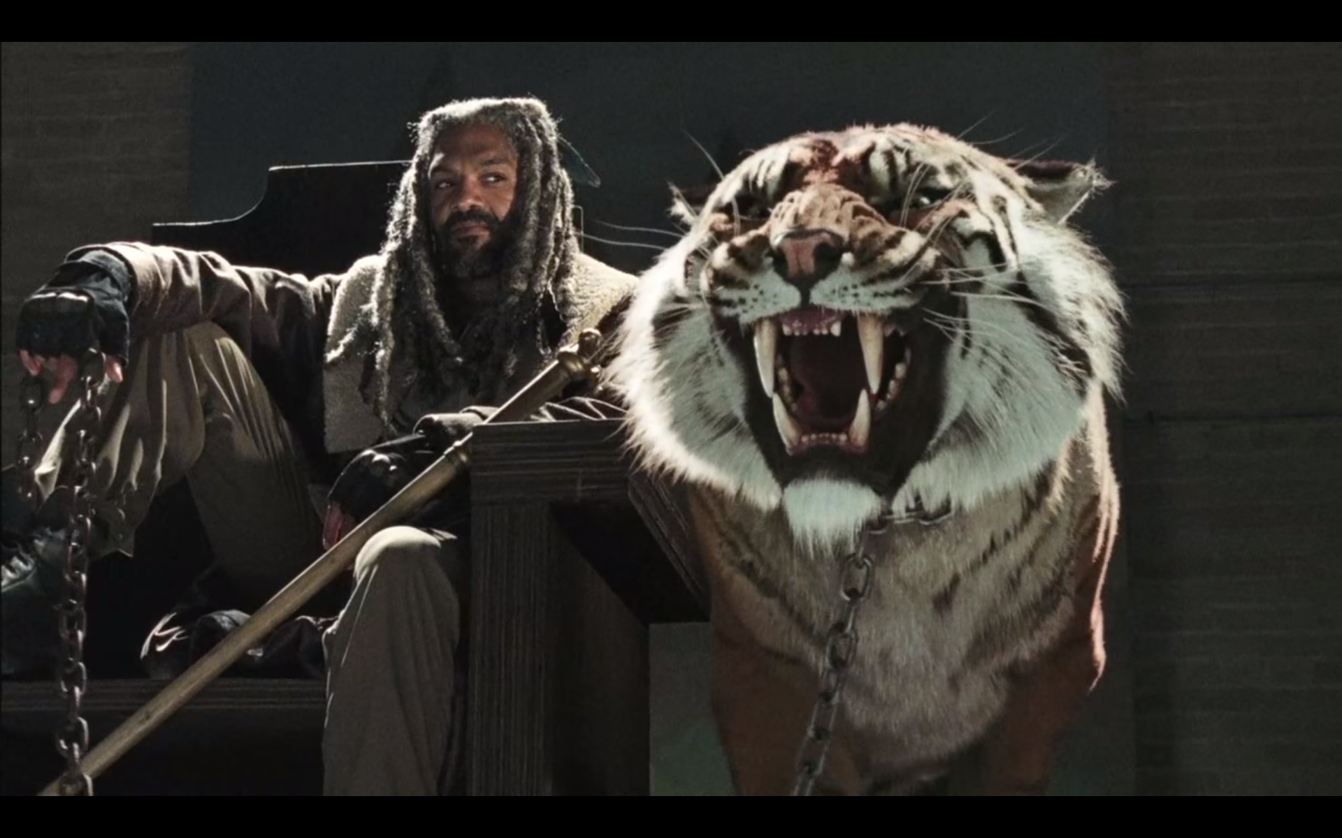 ‘The Walking Dead’ Season 7 Spoilers: Why Shiva The Tiger Is Important ...