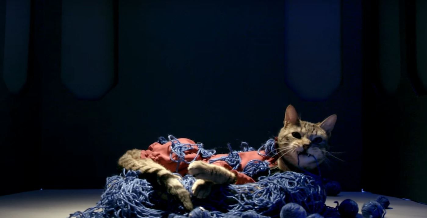 ‘The Expanse’ Season 2: Absurdly Adorable Cat Video From SyFy Recaps ...