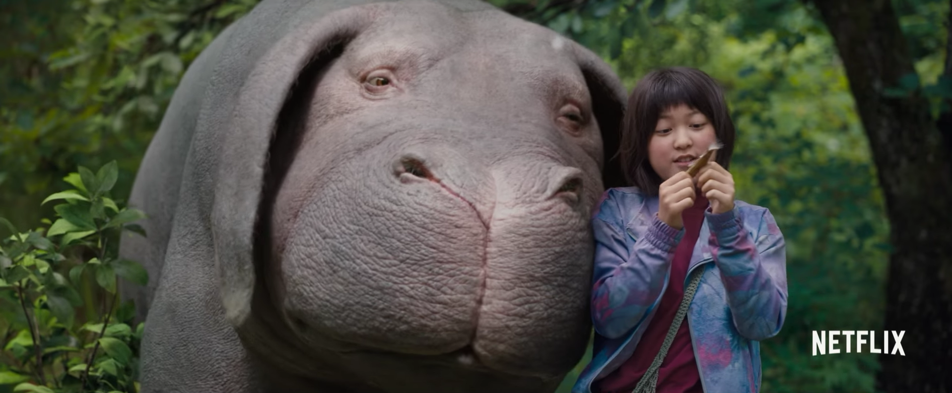 Okja Review: A Super Pig And Her Best Friend Defy The Slaughterhouse In ...