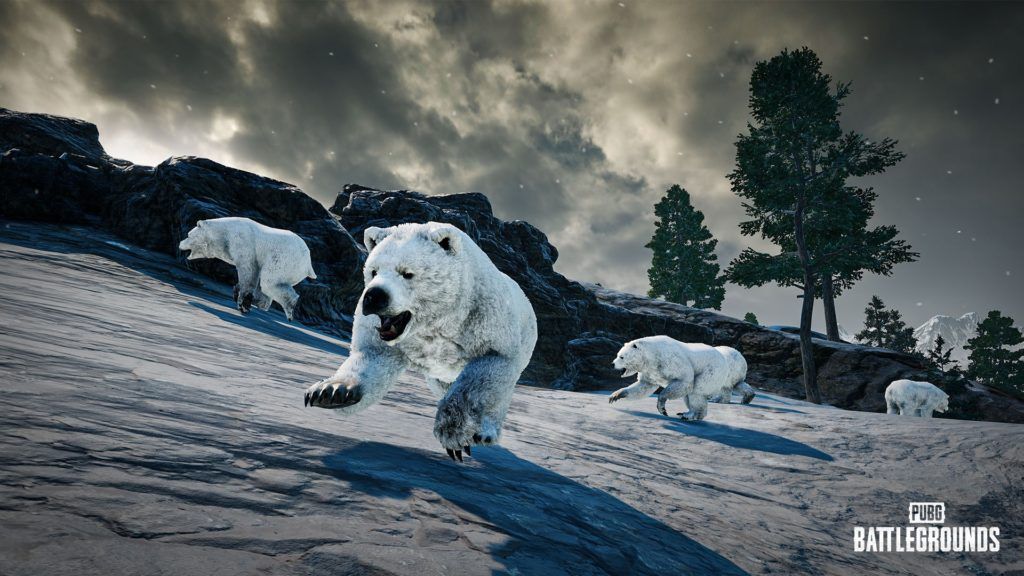 PUBG: The Formidable Bear Strikes Fear in the Hearts of Players in ... PUBG: The Formidable Bear Strikes Fear in the Hearts of Players in ...