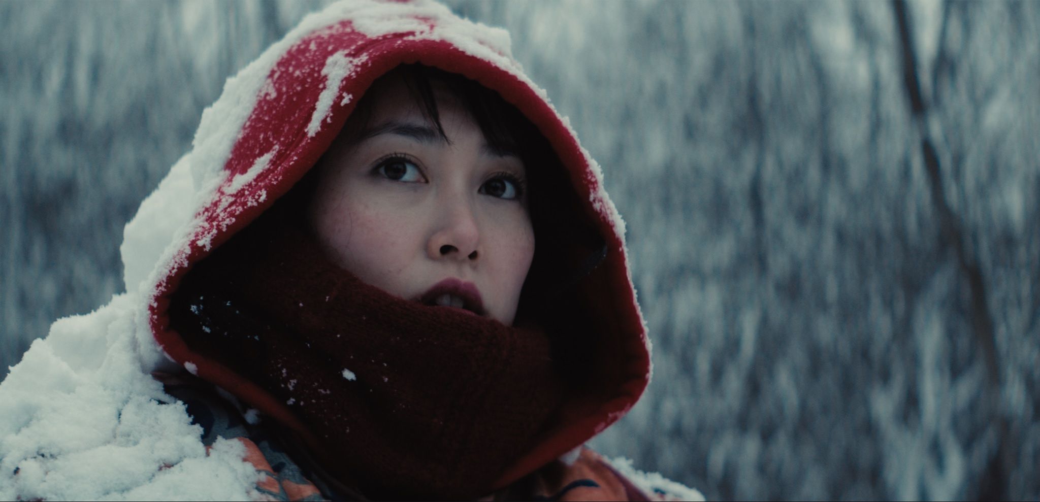 'Kumiko, The Treasure Hunter' Review: Like a Michel Gondry Movie That ...