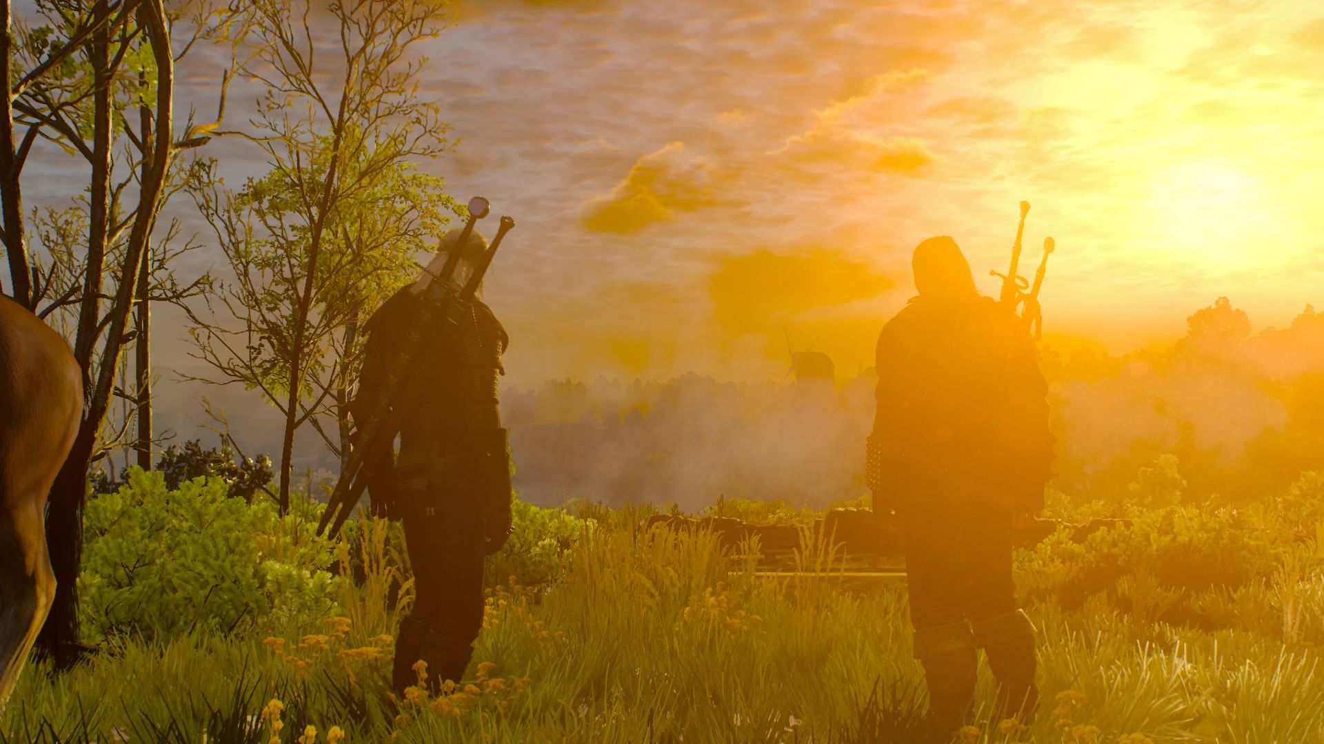 The Witcher 3 Guides: Where To Find Every Herb Needed For Geralt's ...